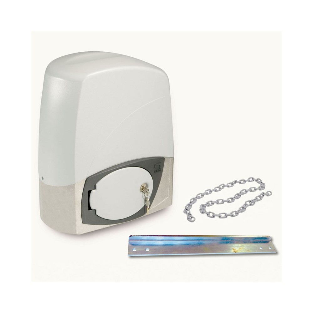 BX-243C Sliding Gate Motor | CAME