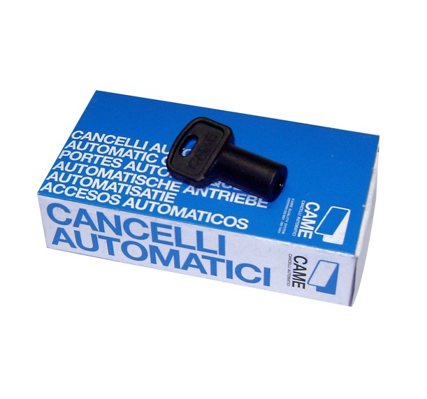 CAME Triangular Release Keys Box of 10 (119RIY077)